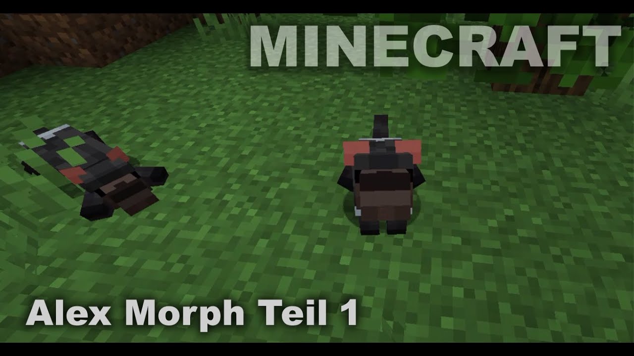 Alex Morph 01 - Viele neue Tiere - YouTube