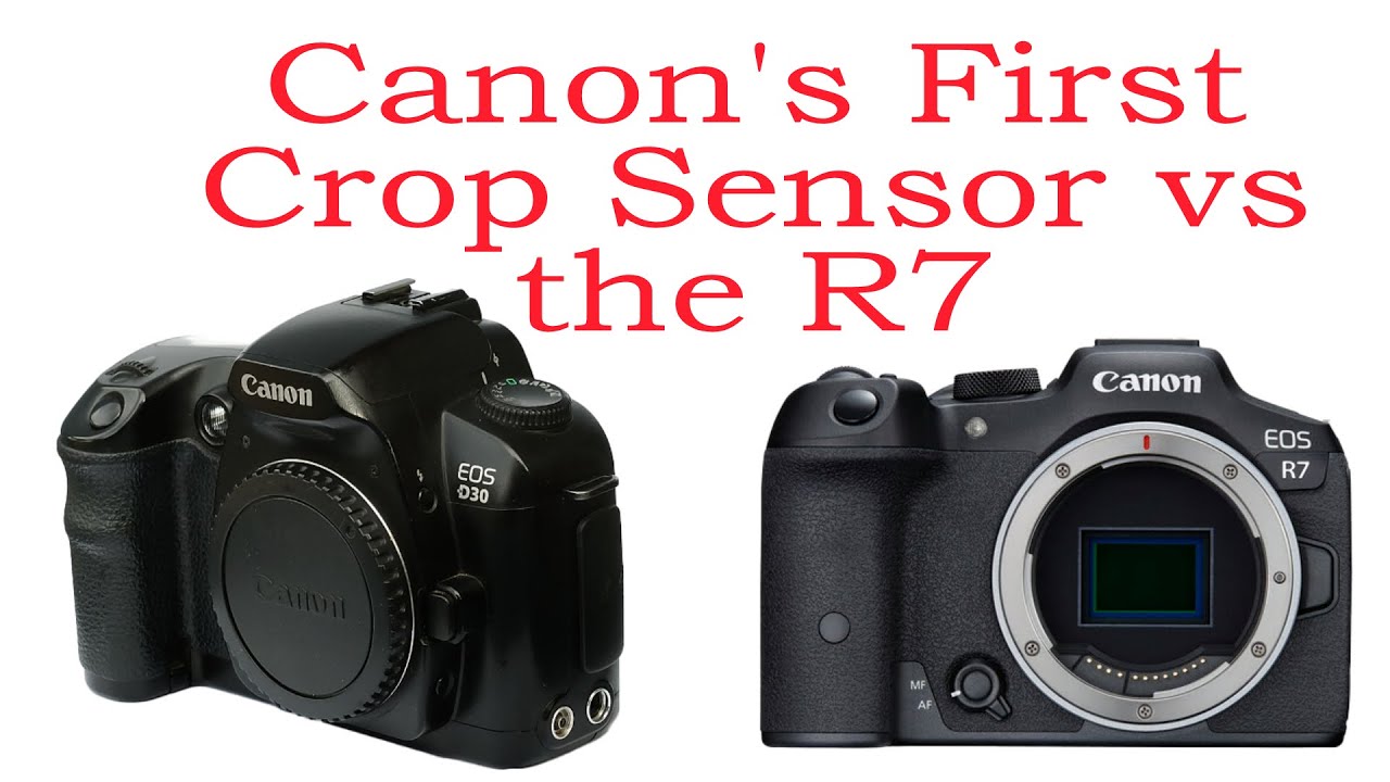 Canon EOS D30 vs Canon EOS R7 - 22 Years of Innovation