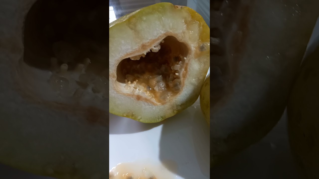 𝐚𝐤𝐚𝐬𝐡𝐚 𝐯𝐞𝐥𝐥𝐚𝐫𝐢 𝐟𝐚𝐬𝐡𝐚𝐧 𝐟𝐫𝐨𝐨𝐭 /𝐀𝐤𝐚𝐬𝐡𝐚 𝐯𝐞𝐥𝐥𝐚𝐫𝐢 𝐣𝐮𝐢𝐜𝐞😋/malayalam - YouTube