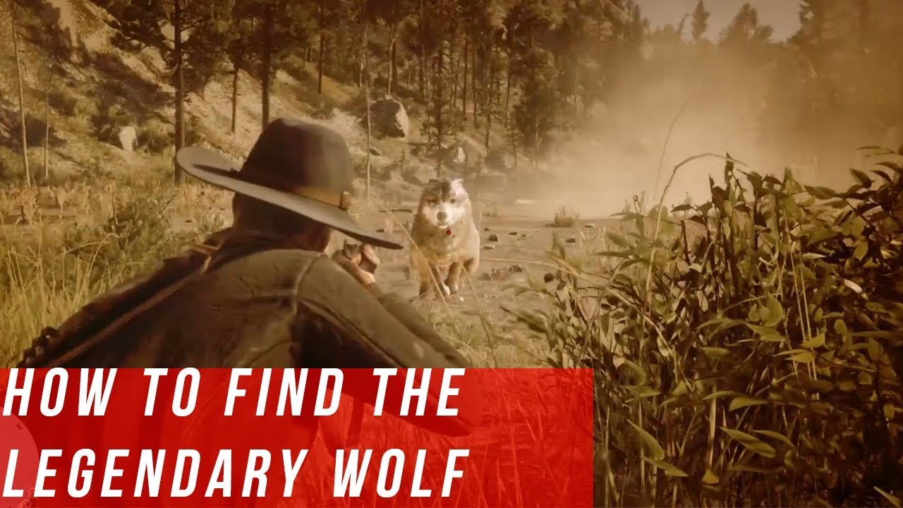 Legendary Wolf Hunting Guide - Red Dead Redemption 2 - YouTube