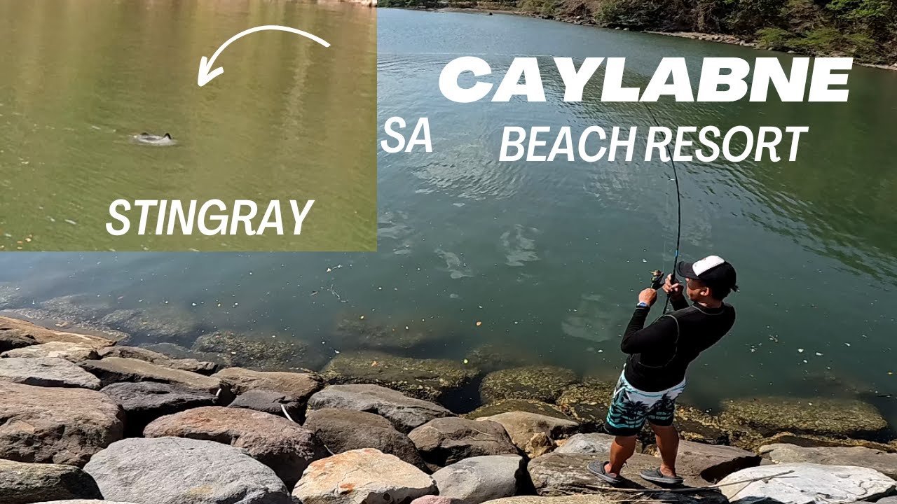 STINGRAY / PAGI KUMAGAT | CAYLABNE BAY RESORT & MARINA - YouTube