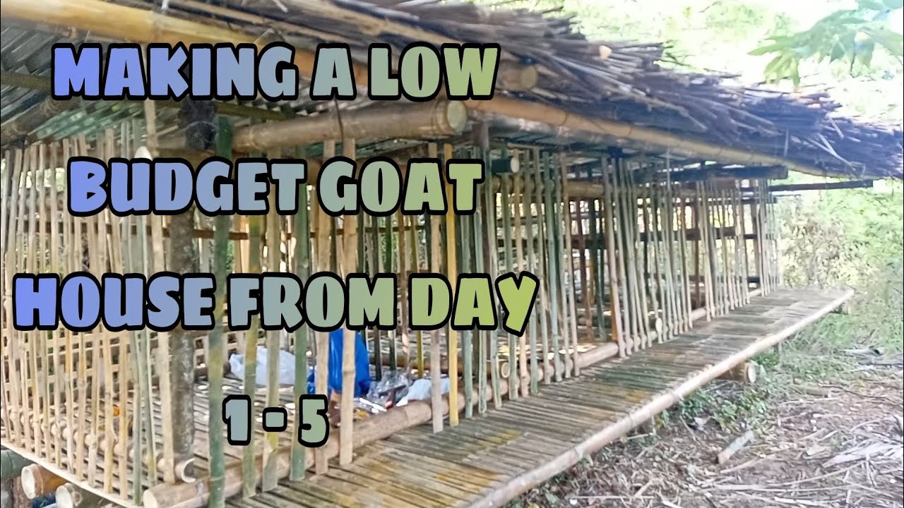 CONSTRUCTING LOW-BUDGET GOAT HOUSE DESIGN FROM START TO FINISH||AGRI ...
