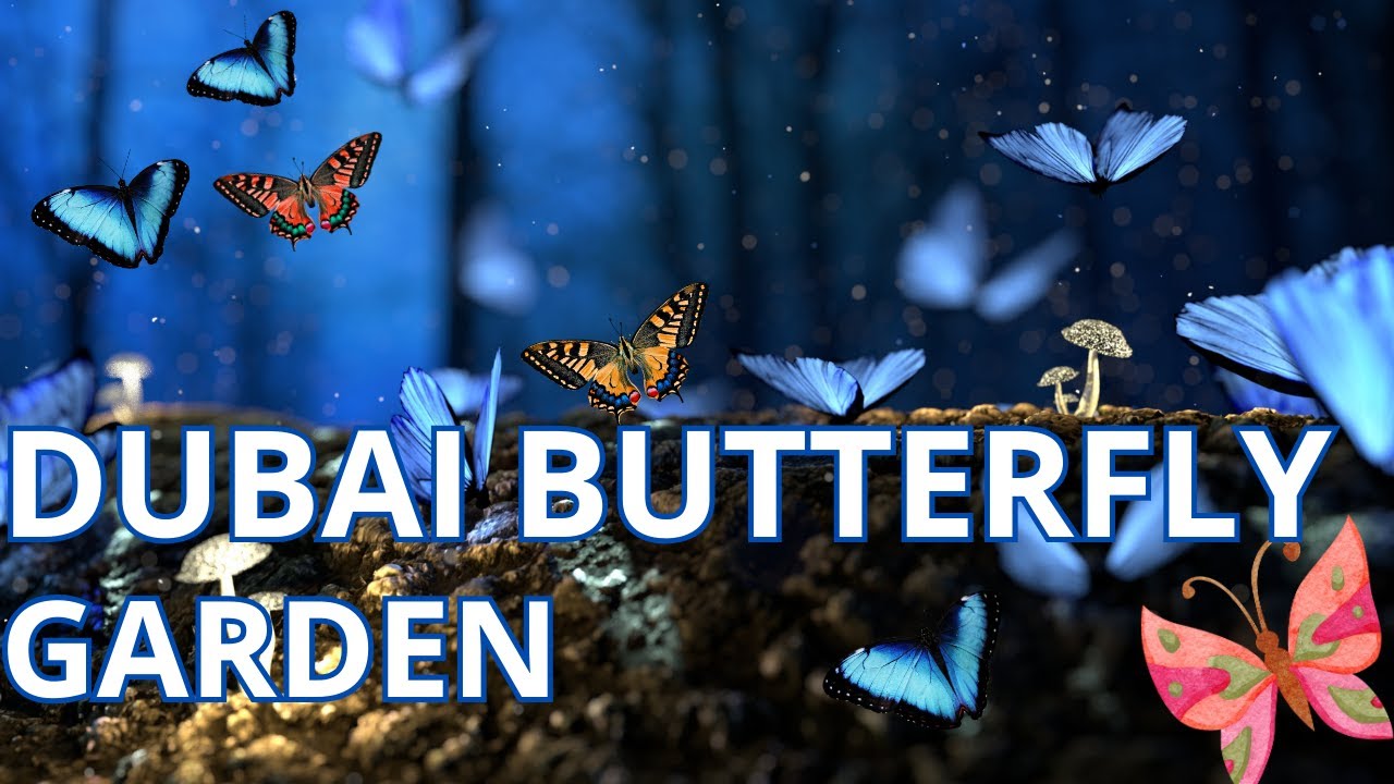 Dubai Butterfly Garden | The World's Largest Butterfly Garden ...