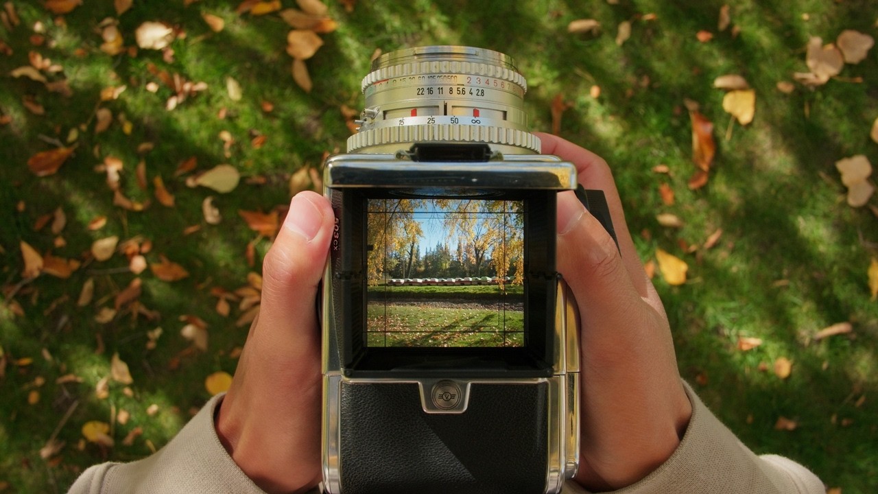 A Day of Shooting Film Through Hasselblad Ground Glass - YouTube