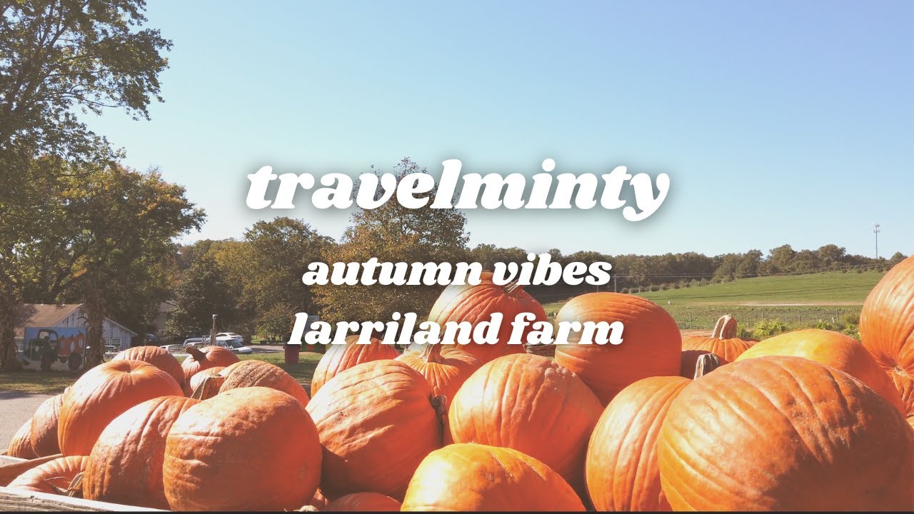 Autumn Fall Vibes Pumpkin Farm ~CoZy AeSthEtiC~ Sweater weather 미국 가을 ...