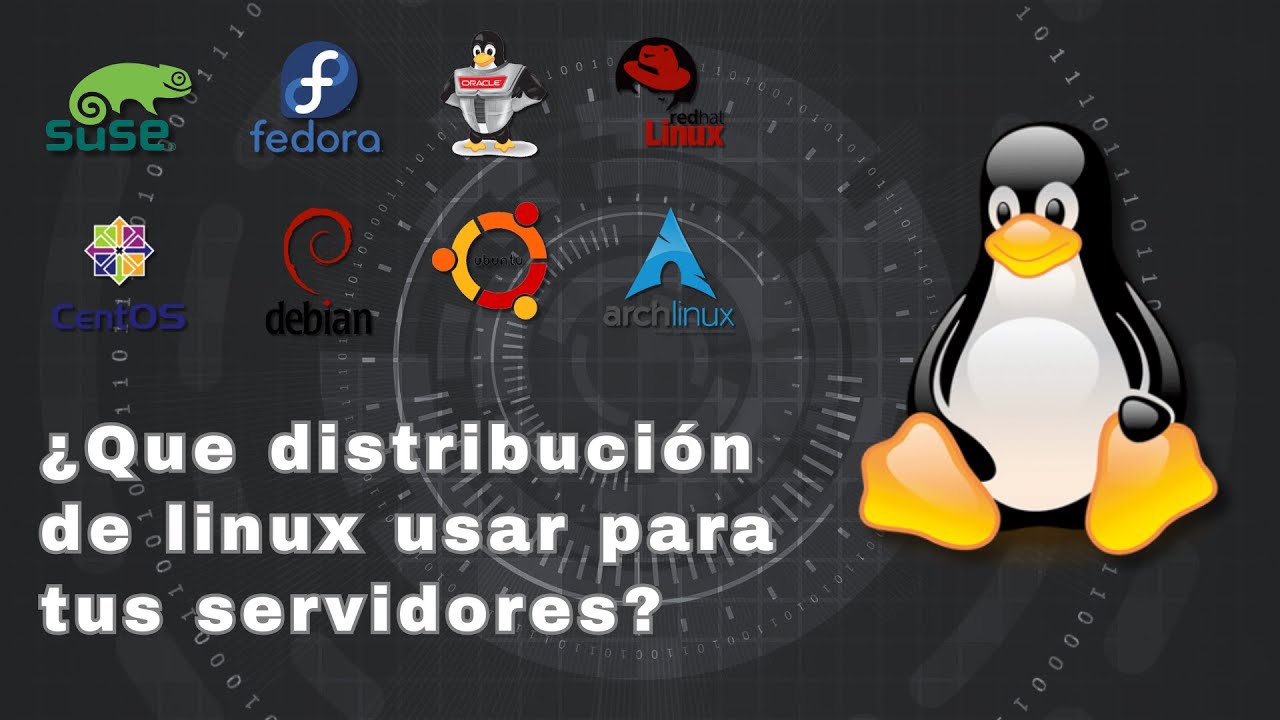 Que distribución Linux usar para servidores - YouTube