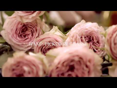 Rose De Grasse