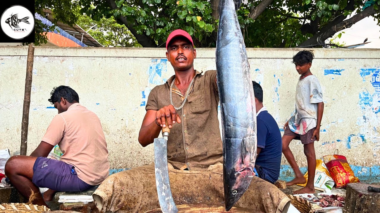 KASIMEDU FISH CUTTING BIG FISH CUTTING 😱| FISH CUTS ⚔️💥 - YouTube