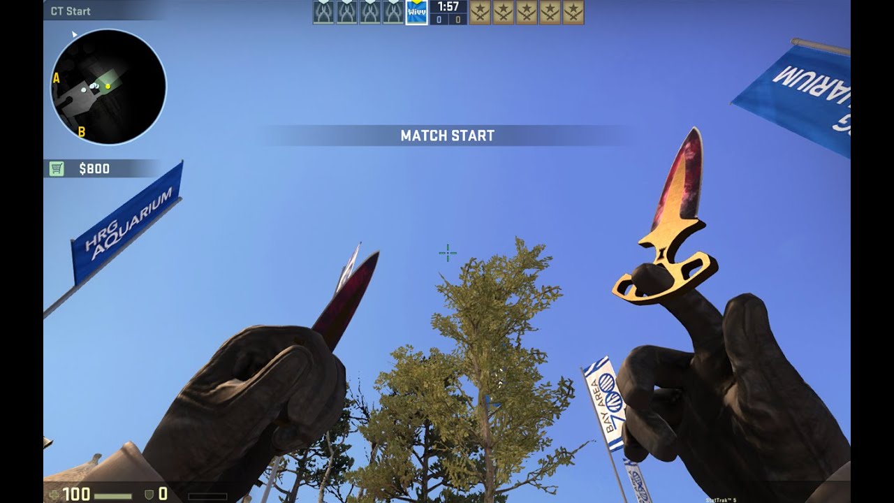 StatTrak™ Shadow Daggers | Doppler Factory New - CS:GO Skin Showcase ...