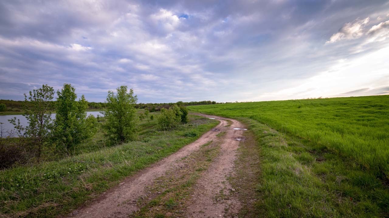Green Grass Field Youtube