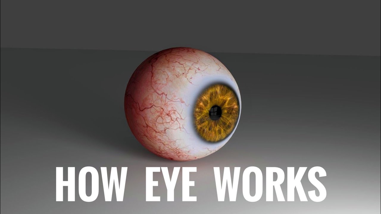 How Eye Works - YouTube