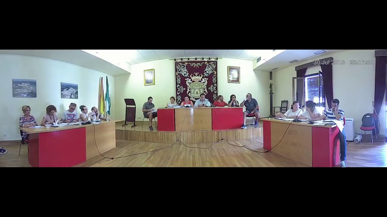 AYUNTAMIENTO DE VILLAVERDE DEL RIO. PLENO ORDINARIO CELEBRADO EL 30 DE ...