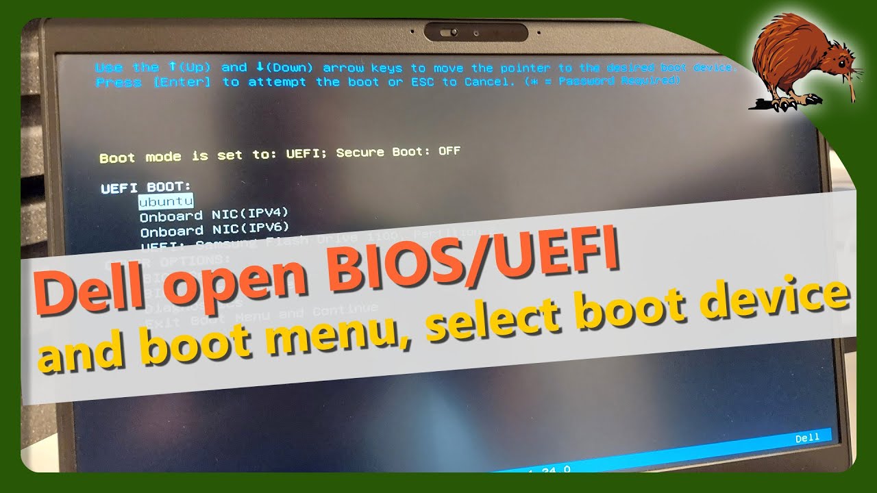 How to Access the BIOS Setup and Boot Menu on Your Dell Laptop - YouTube