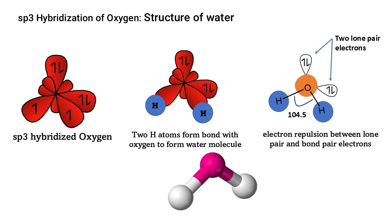 Hybridization of oxygen: Structure of water molecule - YouTube