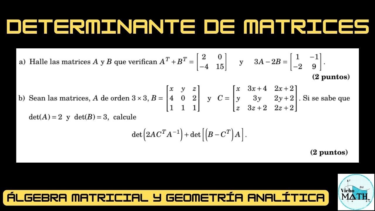 DETERMINANTE DE MATRICES || ÁLGEBRA MATRICIAL Y GEOMETRÍA ANALÍTICA ...