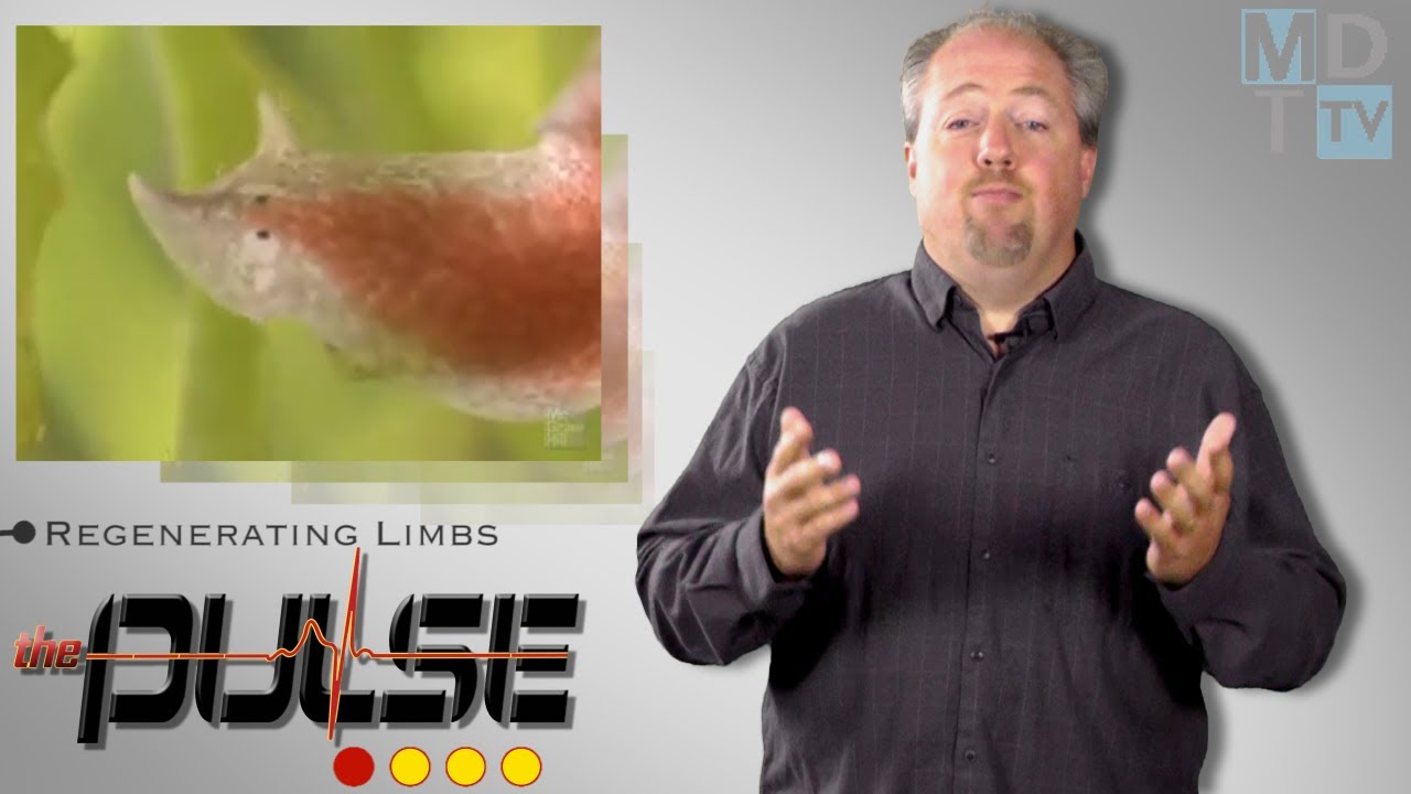 The Pulse: Growing Human Body Parts - YouTube