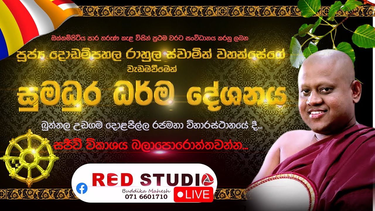 Dodampahala Rahula Himi #banana Buttala Udagama Dolupila Rajamahaviharaya 2023 #දොඩම්පාල රාහුල ...