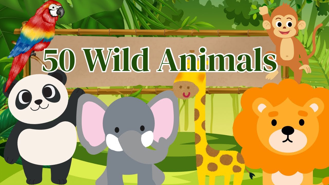 Learn 50 Wild Animals for Toddlers | Fun Animal Learning Video ...
