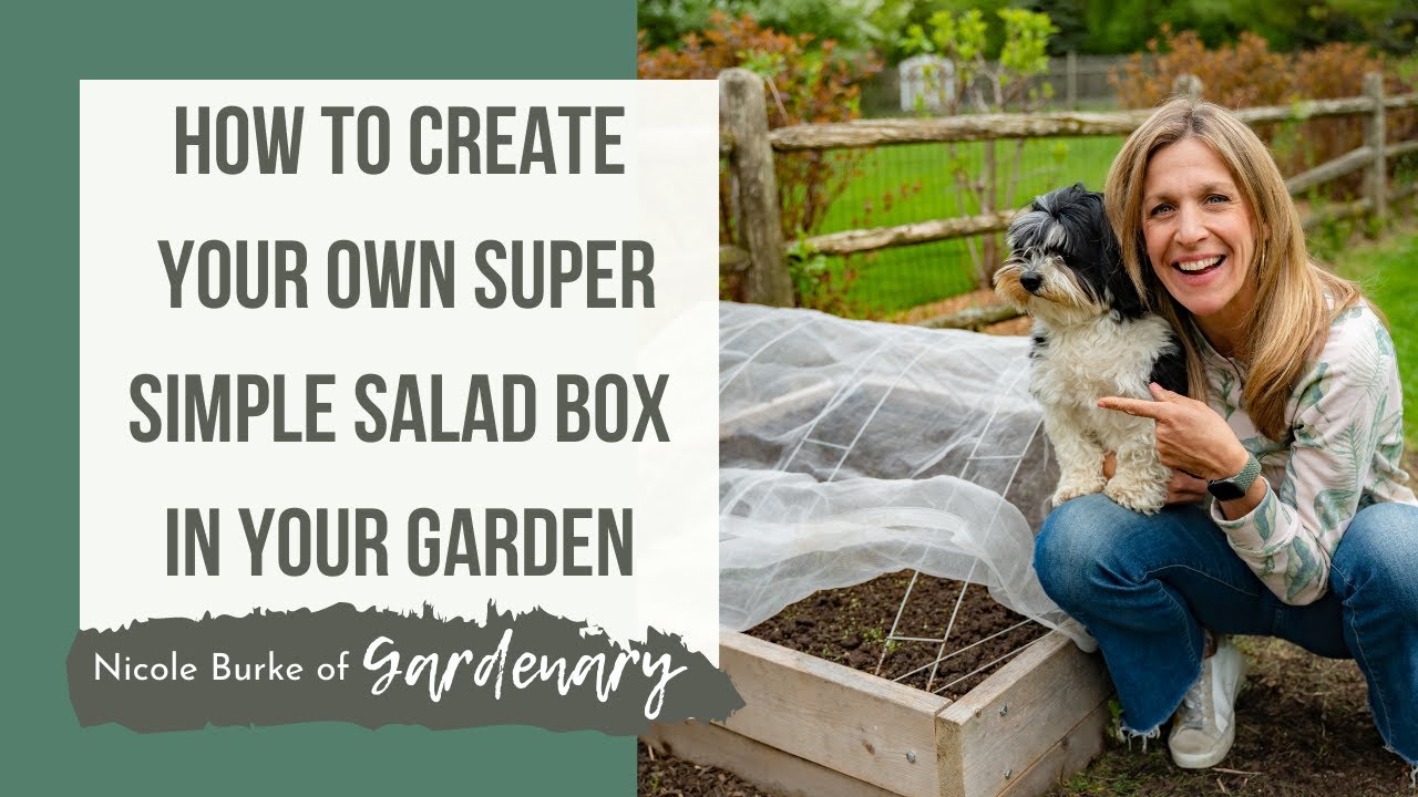How to Create Your Own Super Simple Salad Box in Your Garden - YouTube