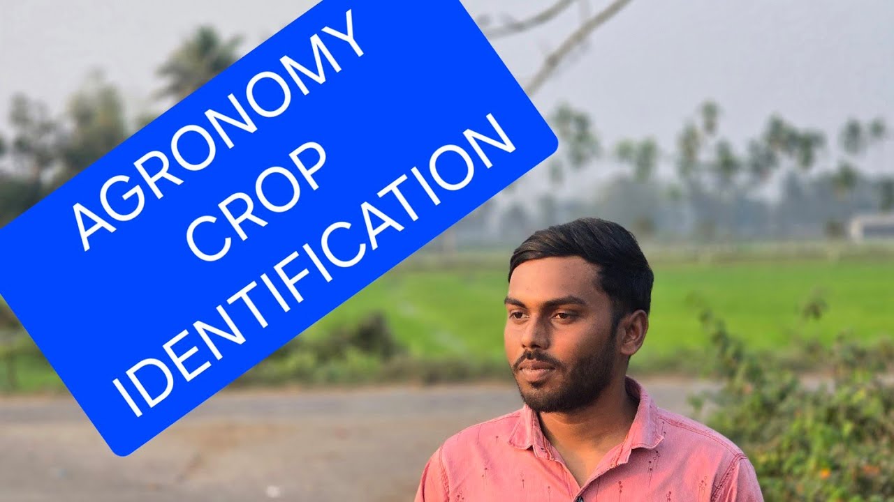 Agronomy crops identification - YouTube