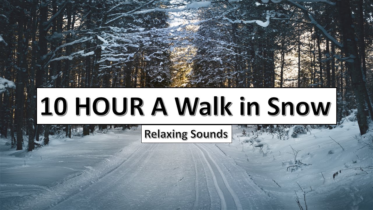 10 HOURS Walking Through Snow | Relaxing Sounds - YouTube