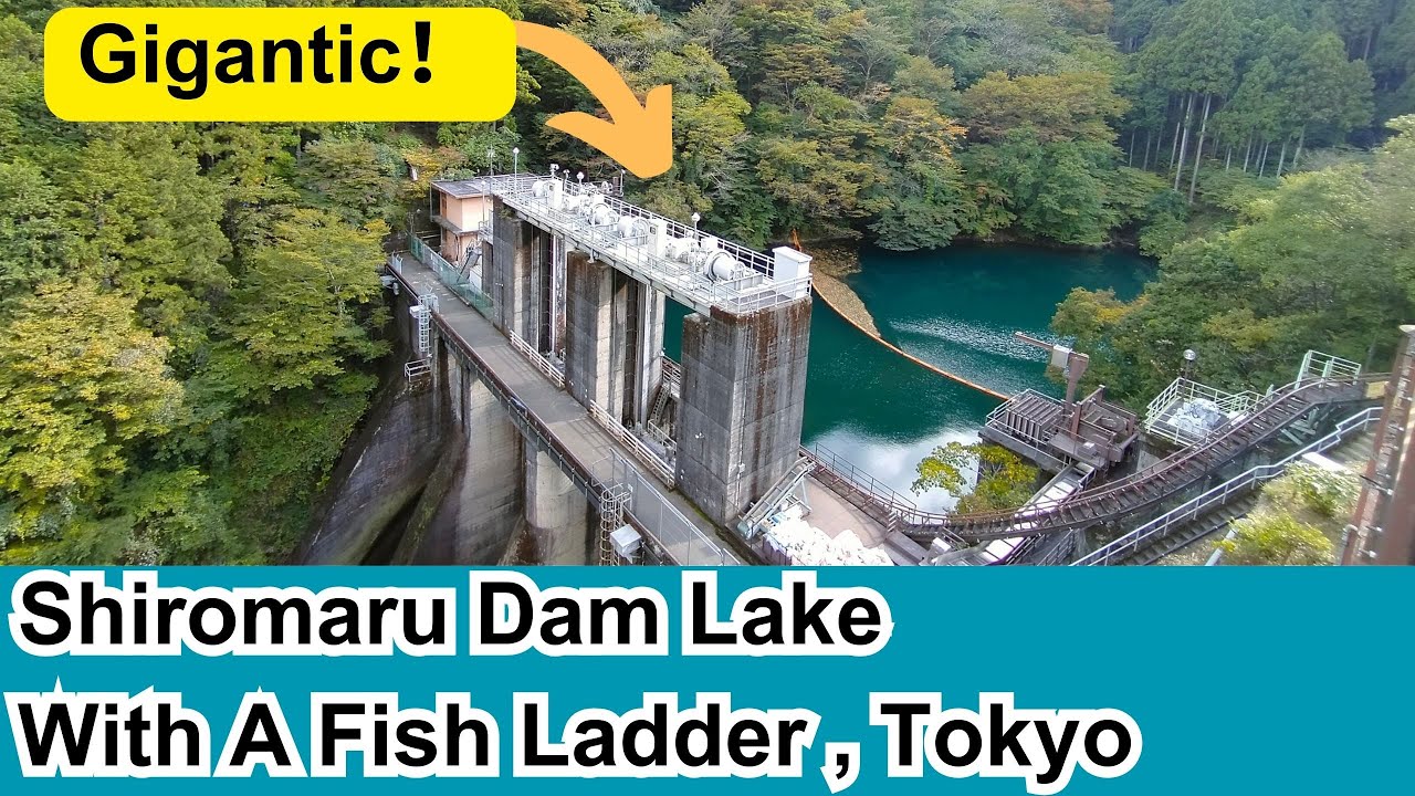 Shiromaru Dam Okutama Tokyo 東京奥多摩白丸ダム - YouTube