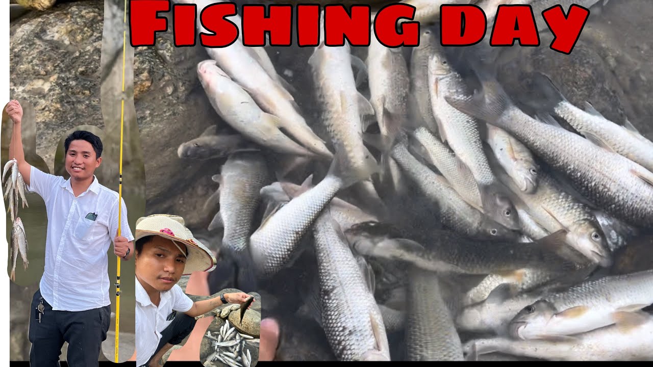 Best hook fishing 2024🎣||100kg fishes|| fishing with friends. - YouTube