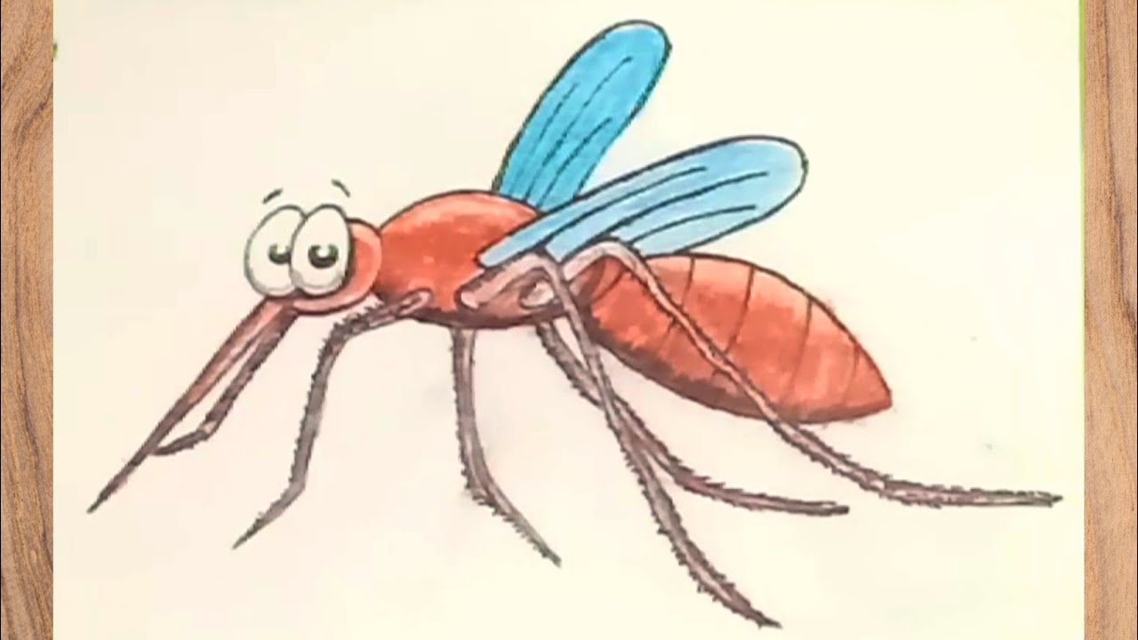Drawing a Mosquito | How to Draw a Mosquito | Mosquito Drawing - YouTube