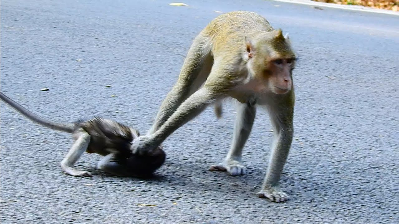 Good Boy And Good Mommy Youtube 1758