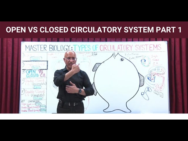 Difference Between Open And Closed Circulatory System Md A Closed