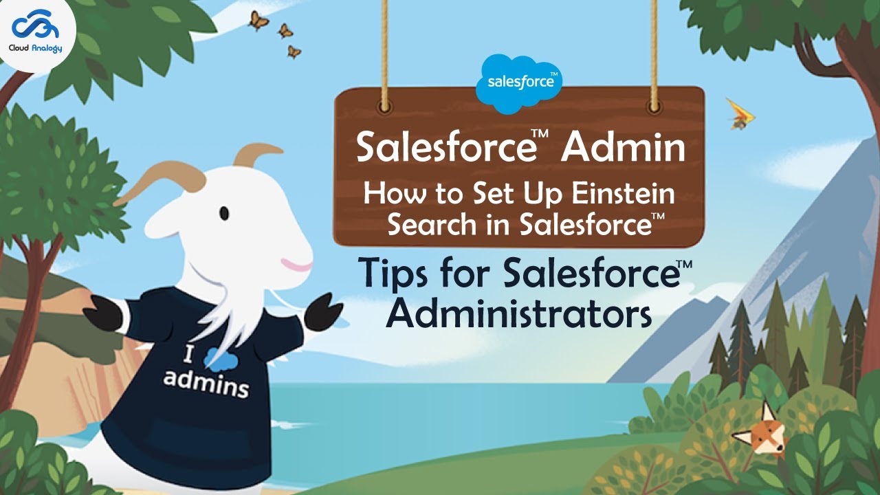 How To Set Up Einstein Search In Salesforce | Tips For Salesforce ...