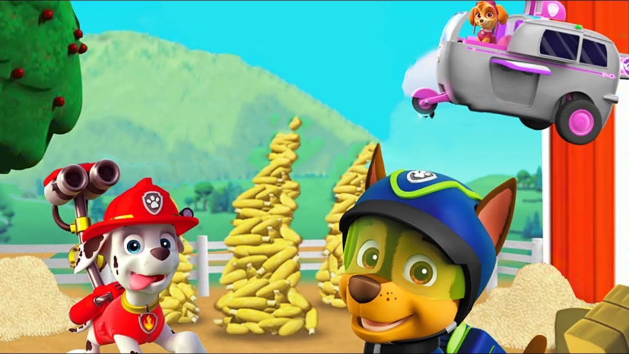 Corn Roast Catastrophe Episode | Paw Patrol English - YouTube