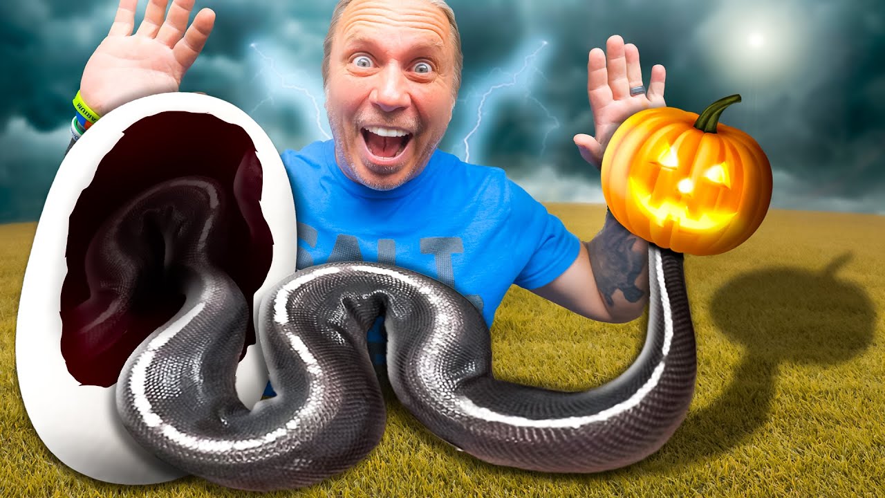 Meet The Pumpkin Snake! - YouTube