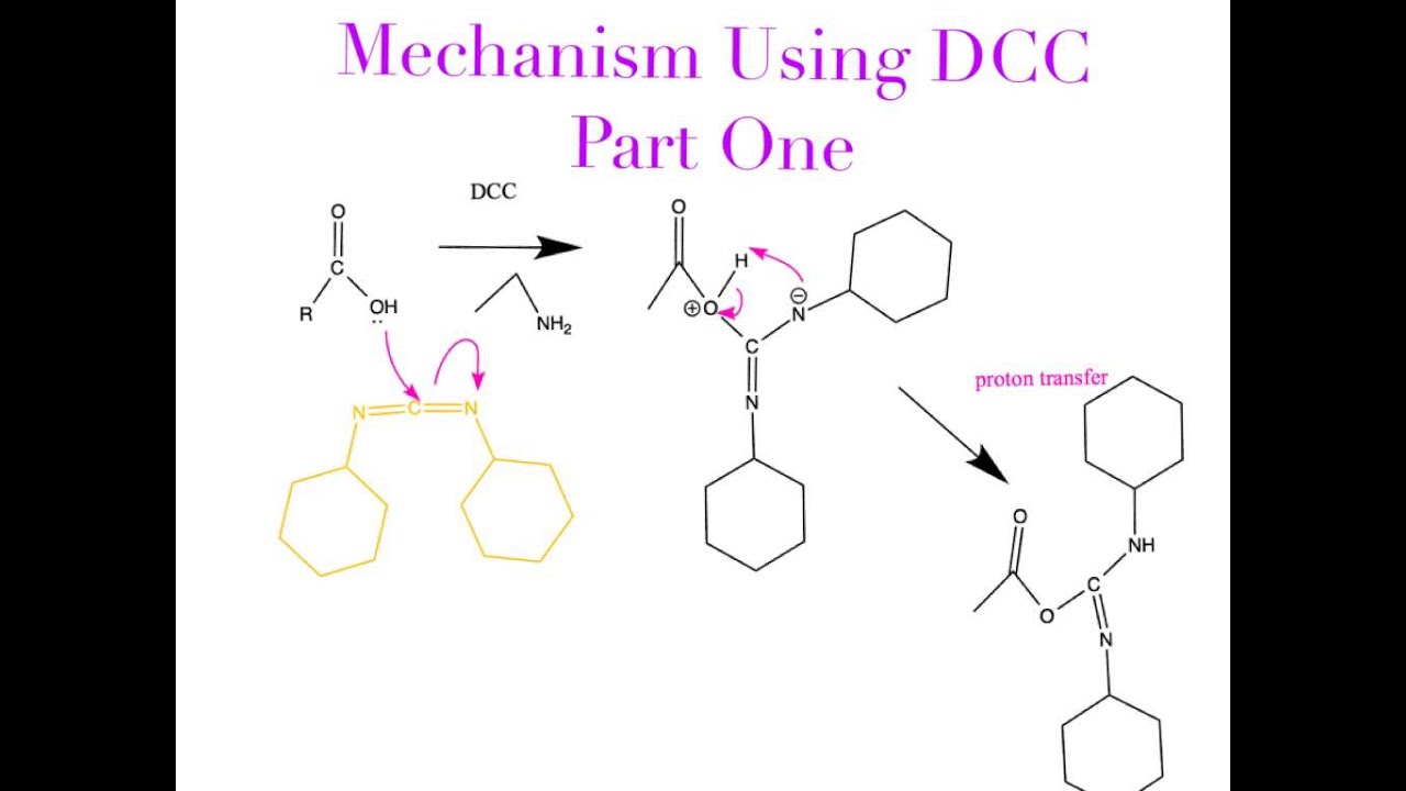 Making Amides from Acids Using DCC - YouTube
