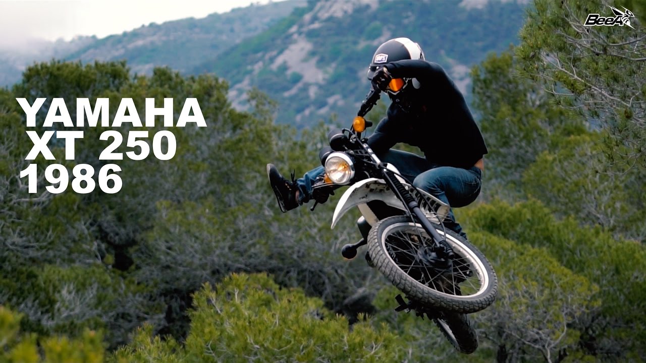 Motorcycle wheeling & whips Madness - Adrien Dailly X BeeA Energy ...