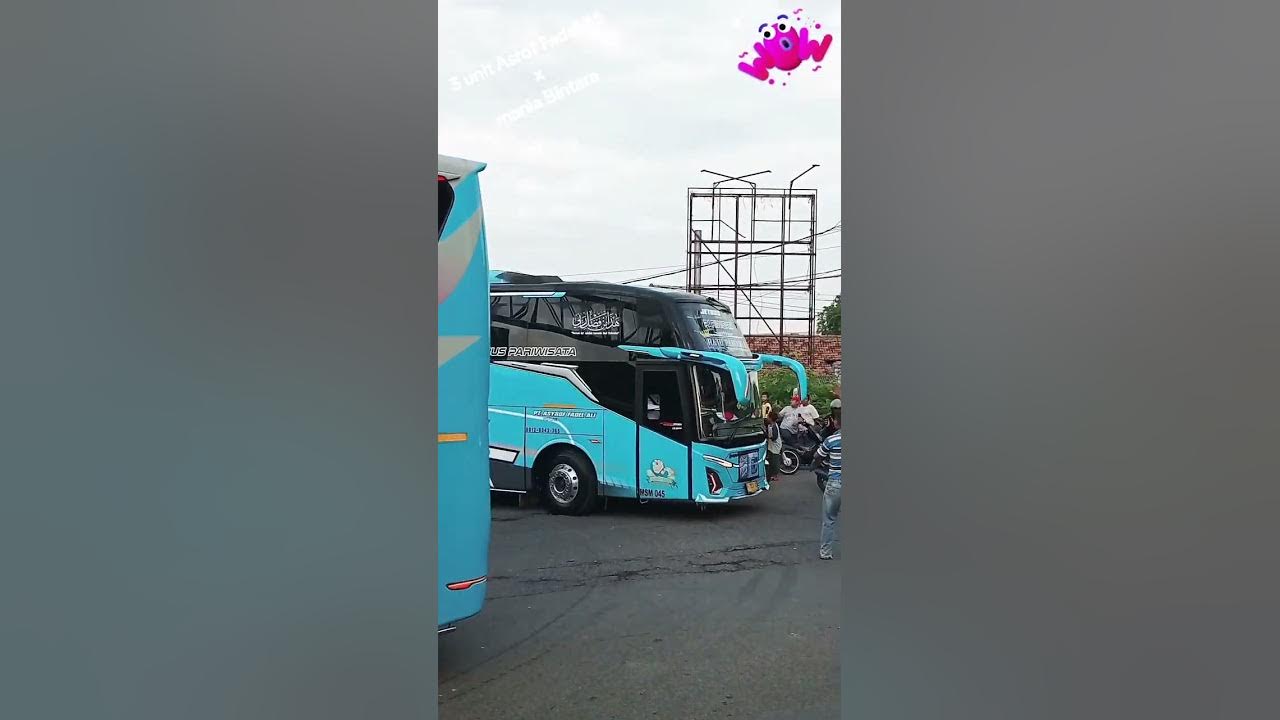 Msm 3 unit #basuri #viral #fyp #hiburansederhana #huntingbus - YouTube