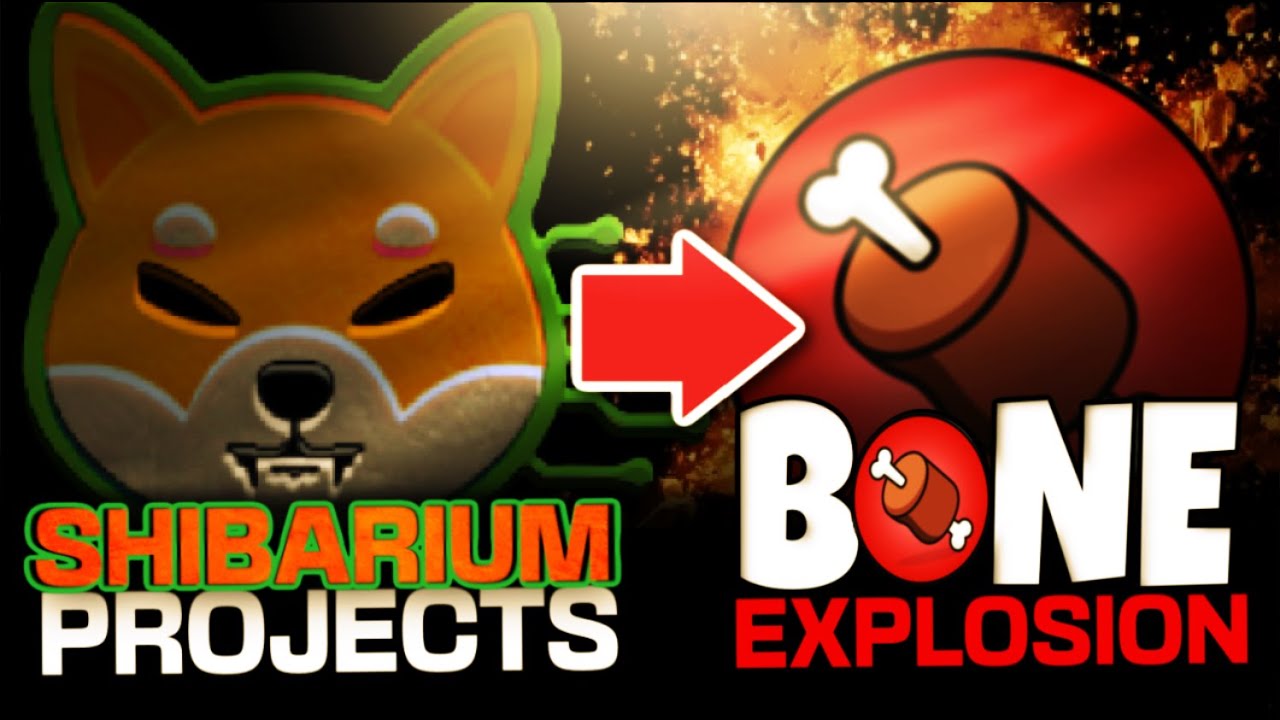 THESE PROJECTS BUILDING ON SHIBARIUM WILL BLOW UP YOUR BONE SHIBASWAP ...