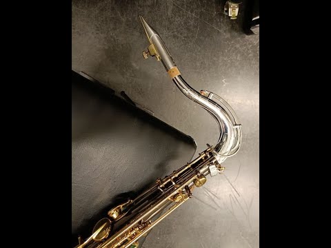 Sahduoo tenor saxophone - My foolish heart - YouTube