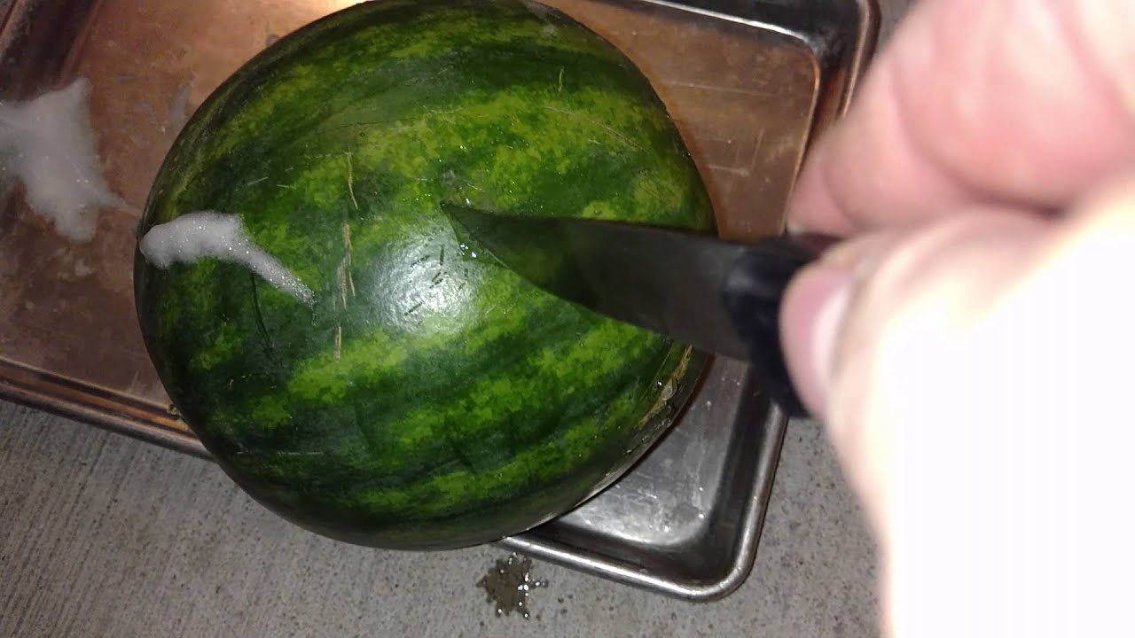 Zombie Foaming Fermented Watermelon! Cutting it Open PART - 2 - YouTube