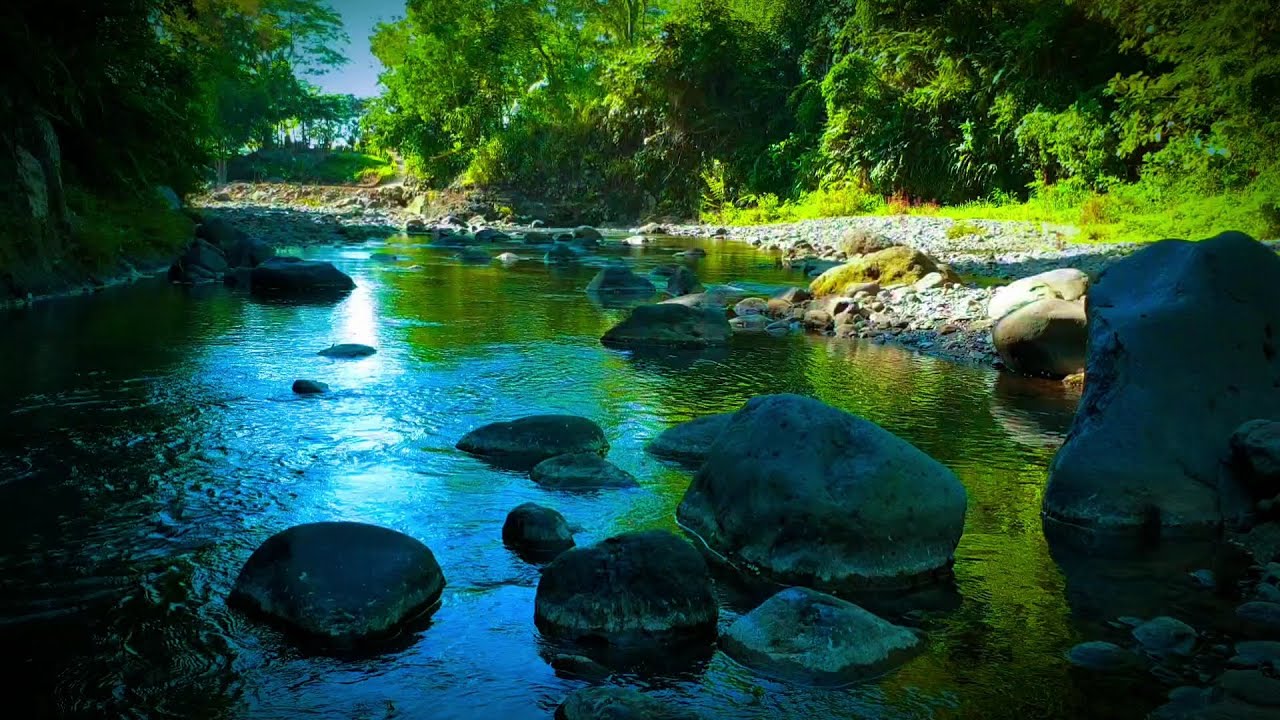 Relaxing River Sound naturally in the forest with gently flowing water ...