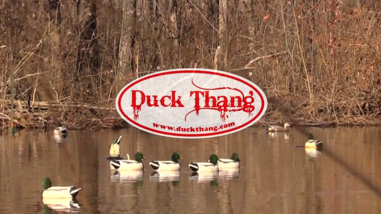 Duck Thang Commercial 2016 - YouTube