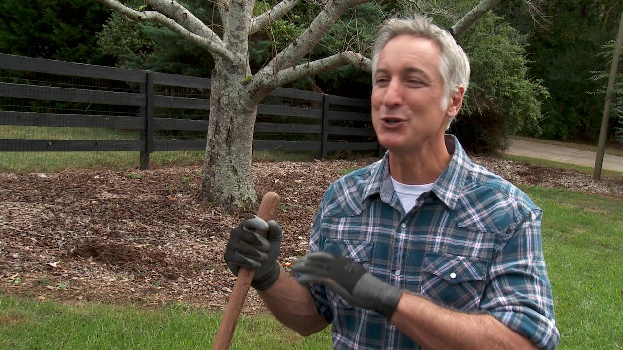 Joe Lamp'l, Host of Growing a Greener World, On Why You Should Use ...