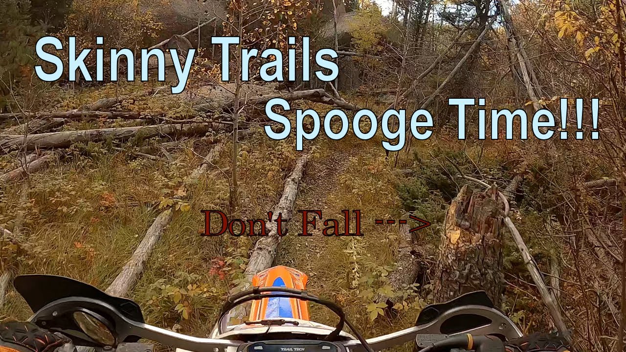 Singletrack - Enjoying the Fall Colors on some skinny lines! - YouTube