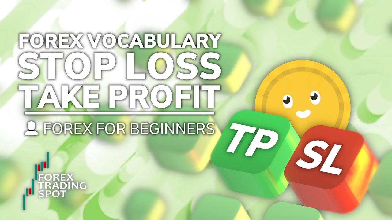 Forex Trading for beginners - Stop Loss and Take Profit - YouTube