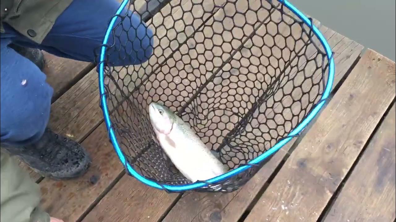 ВИП водоём - форель на спиннинг , приманка ЛИБРА !!! - YouTube