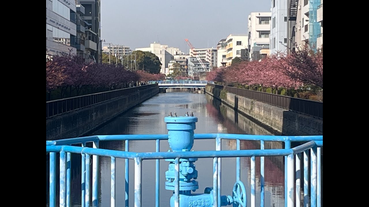 Jo-channel@Japan is live! TAKE 2 TAYO 🥰 - YouTube