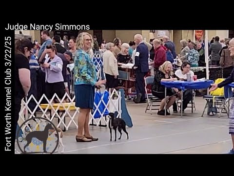 Fort Worth Kennel Club March 22, 2025 under Judge Nancy Simmons - YouTube