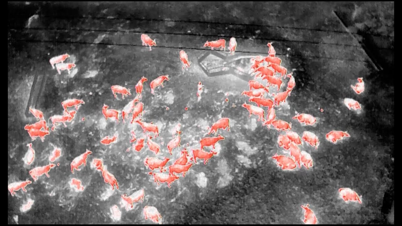 Beefree Agro night scan for farm security - YouTube