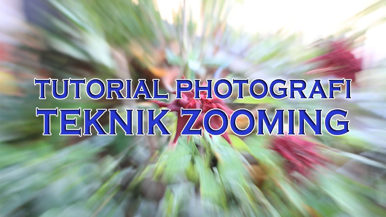 Cara Membuat Foto Zooming dalam Fotografi - Memotret Mudah untuk Pemula ...