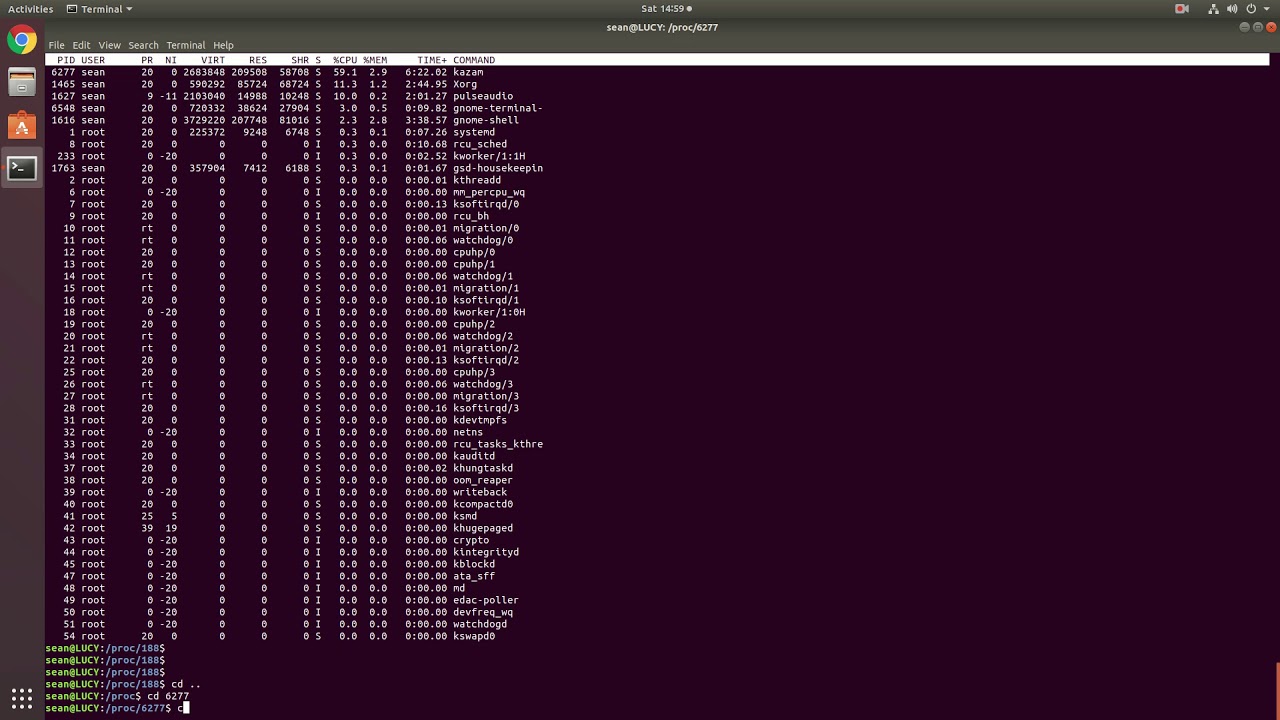What Is The proc Directory For YouTube what-is-the-proc-directory-for-youtube